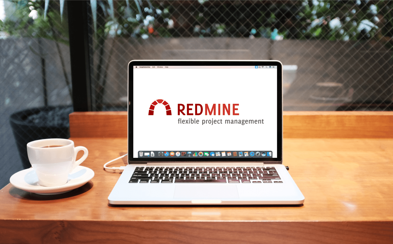 Why to Choose Redmine for Project Management: Best Plugins to Manage ...